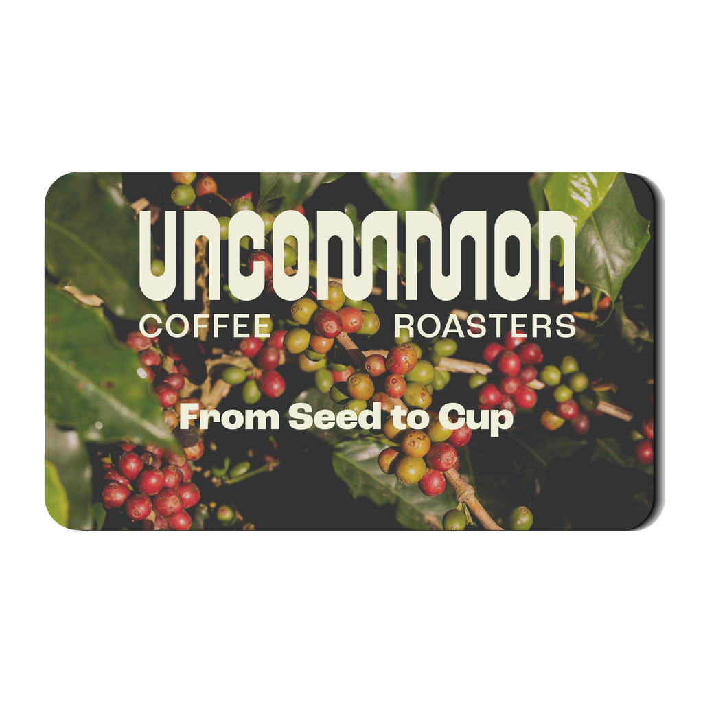 Seed to Cup, 1 Hour Class – Uncommon Coffee Roasters